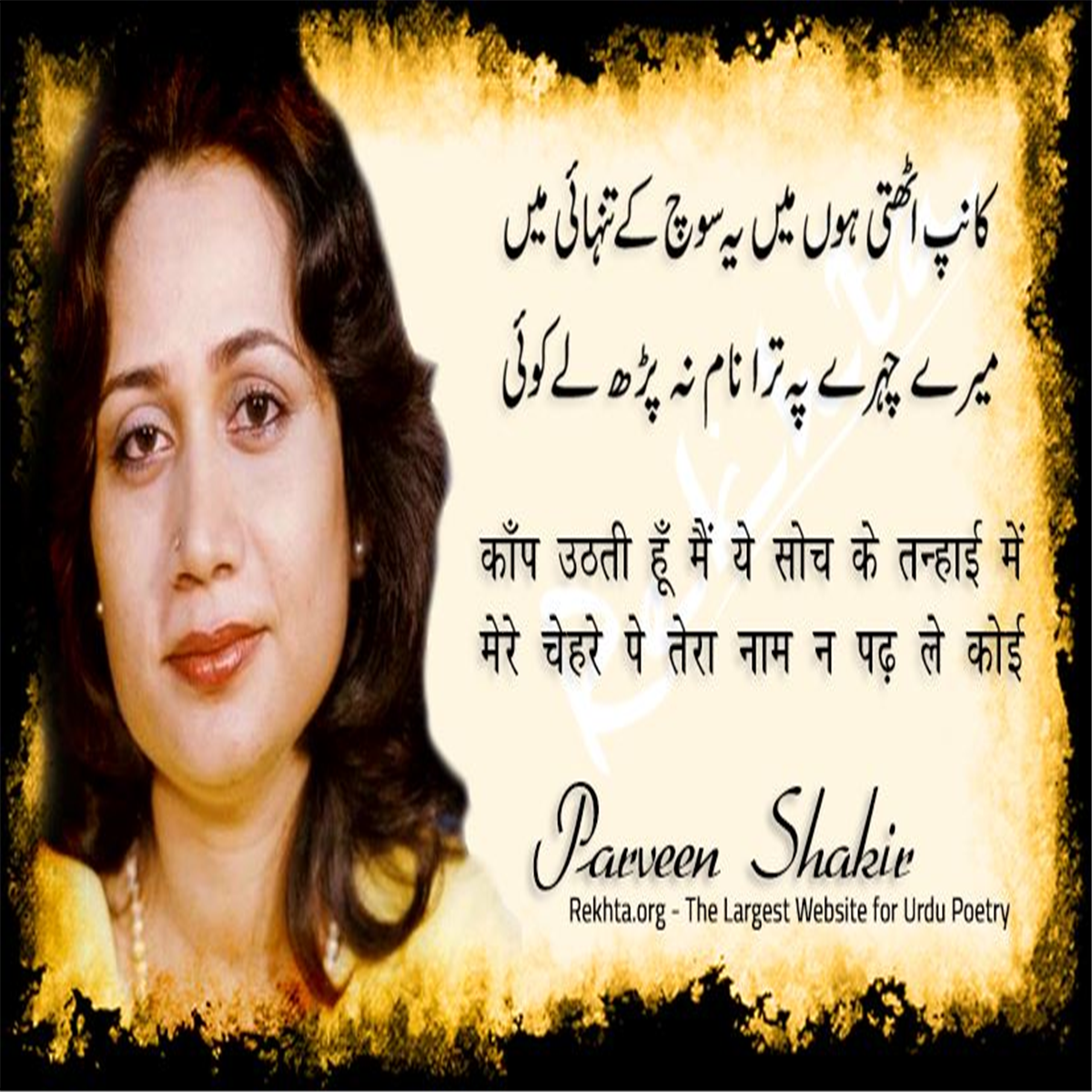 Shayari of Waseem Barelvi | Rekhta