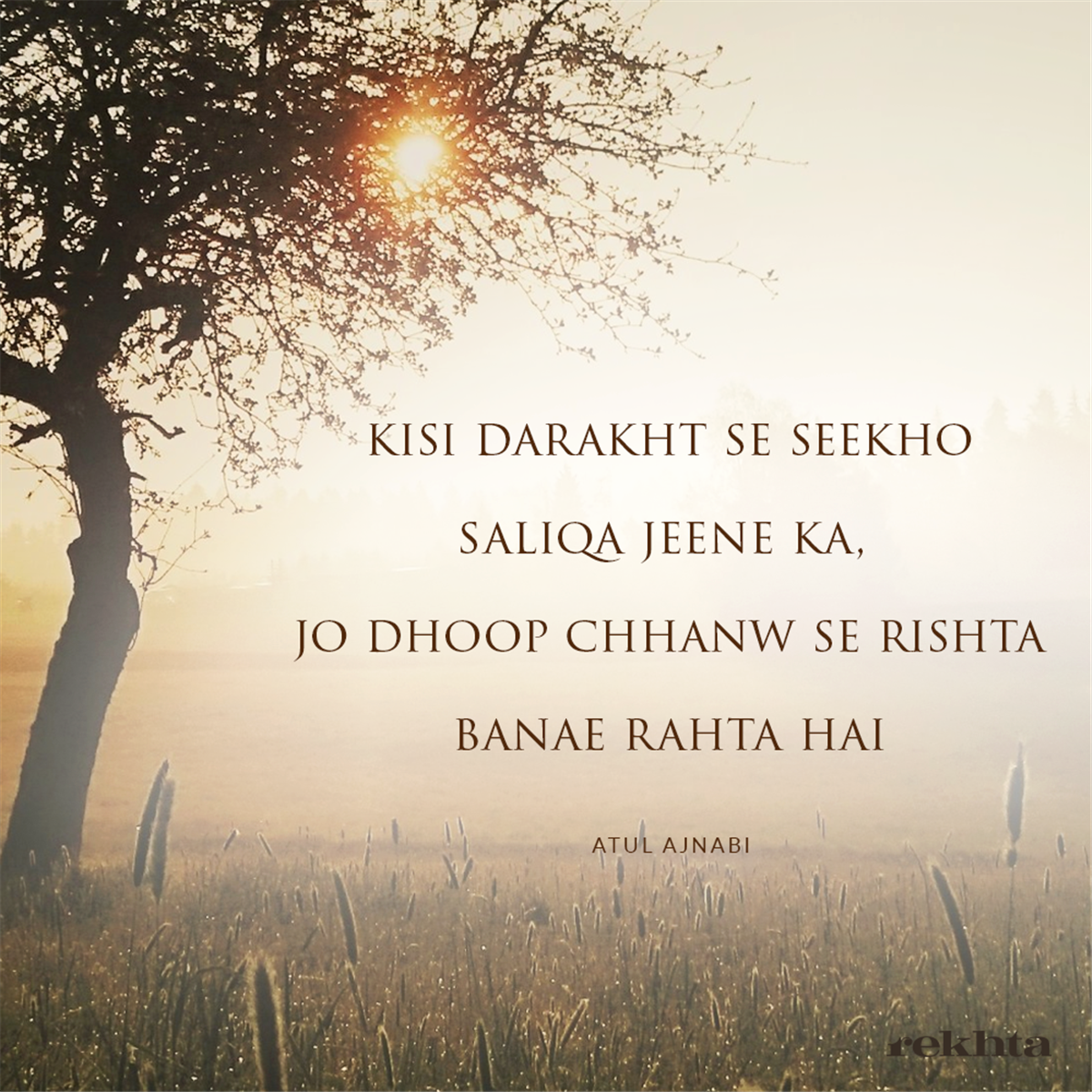 kisii daraKHt se siikho saliiqa jiine kaa - Atul Ajnabi
